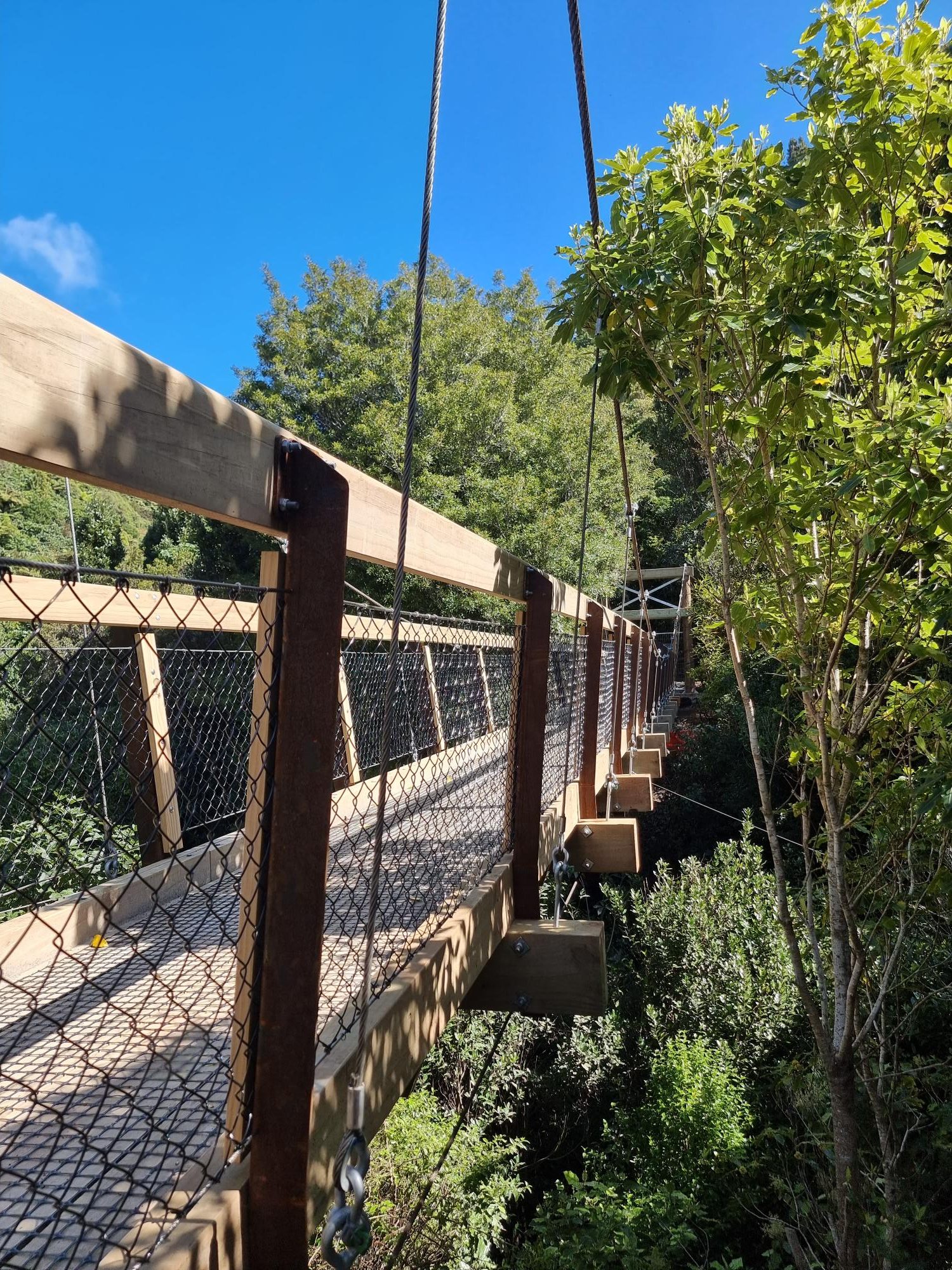 ABSEIL ACCESS OPENS BRIDGE NUMBER 91 IN UPPER HUT | Abseil Access